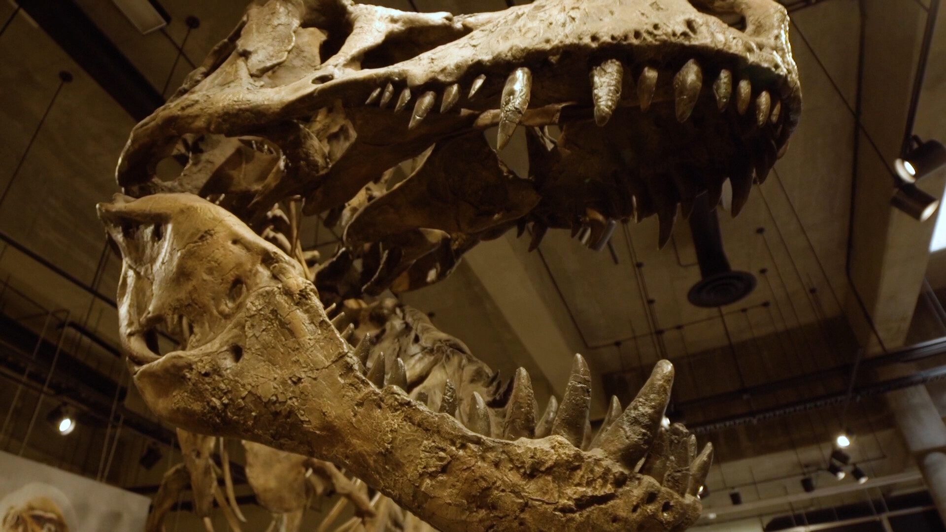 Scotty The T.rex - The Full Story - Overtime Studios